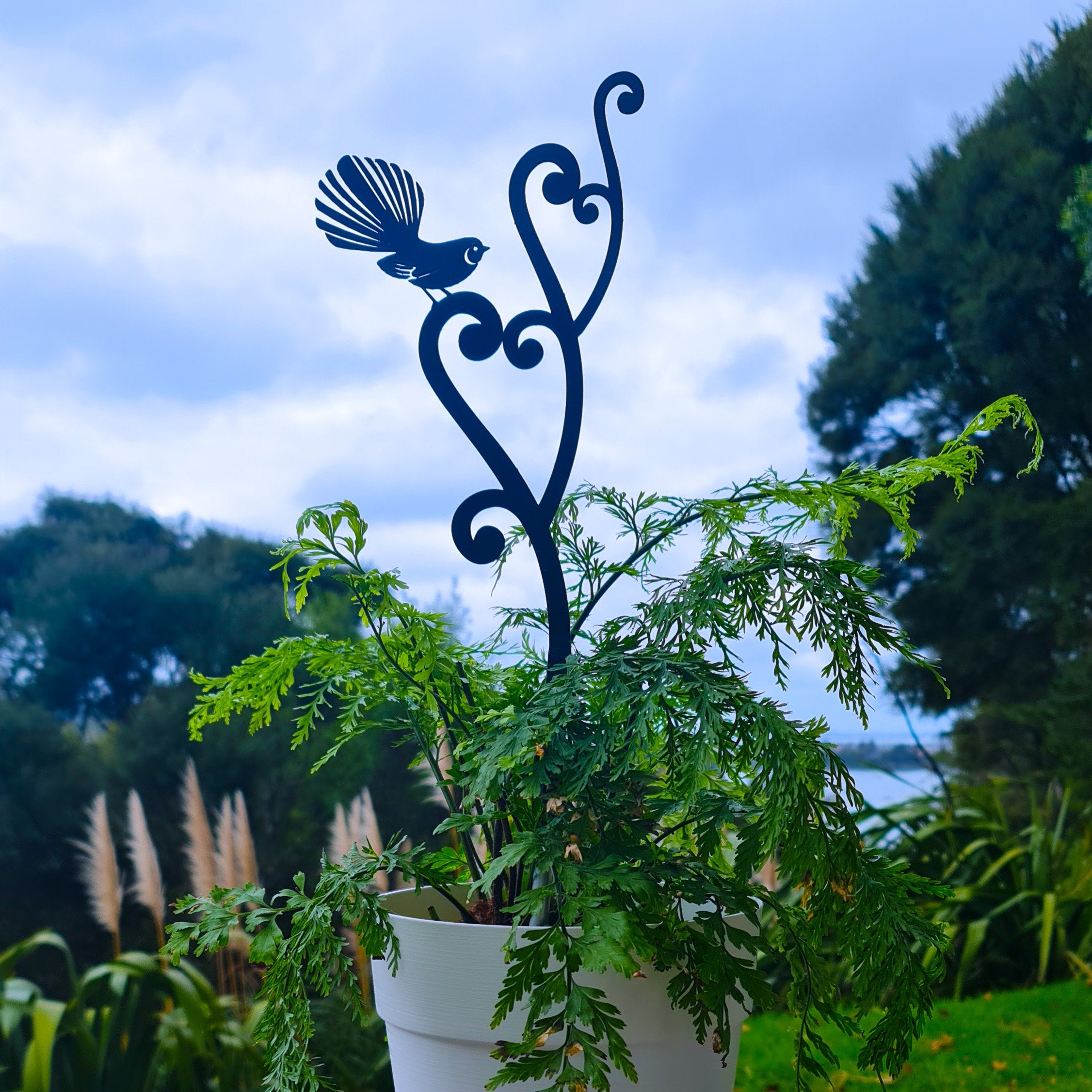 Koru Bird Series