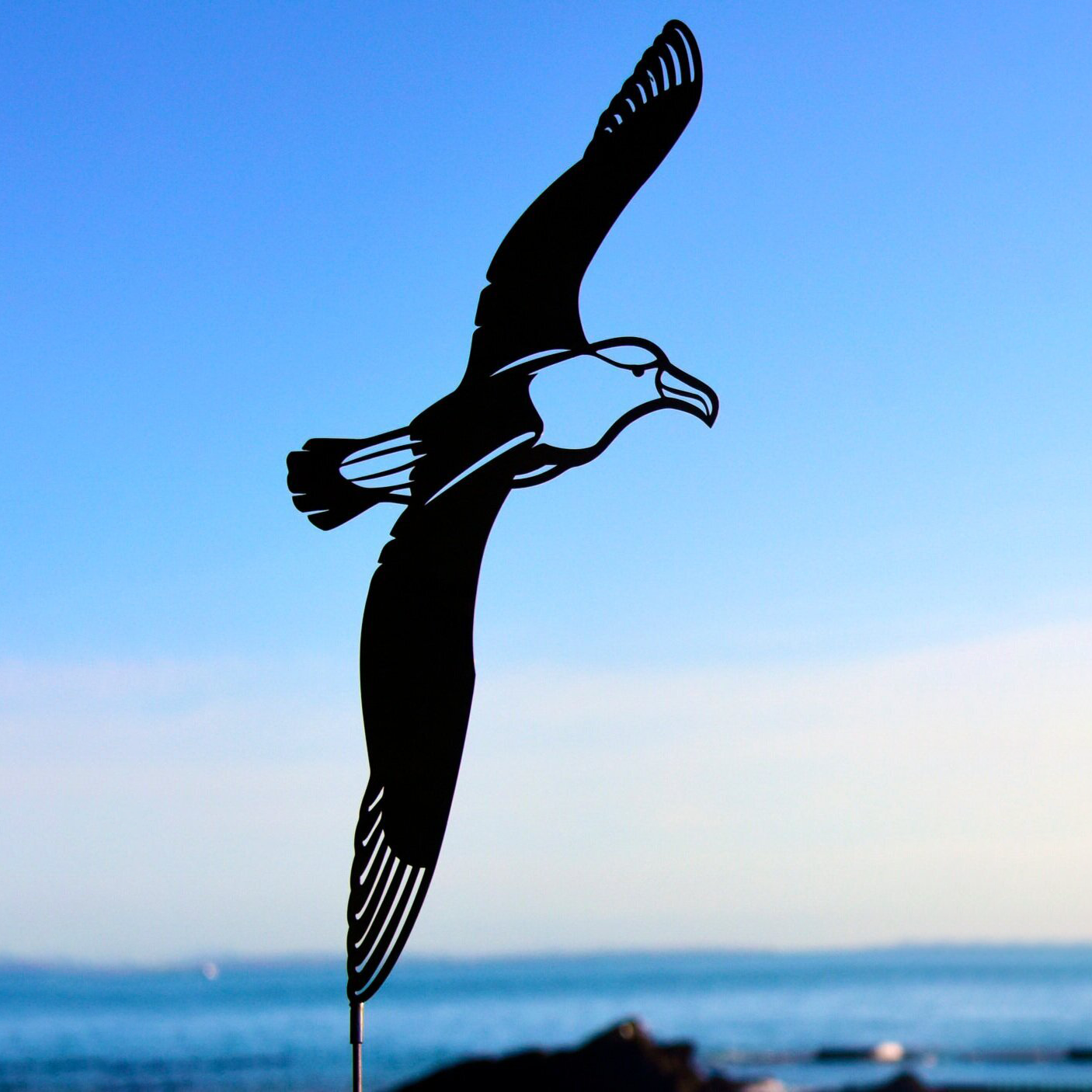 Albatross Corten | NZ Garden Art | Sam's Garden
